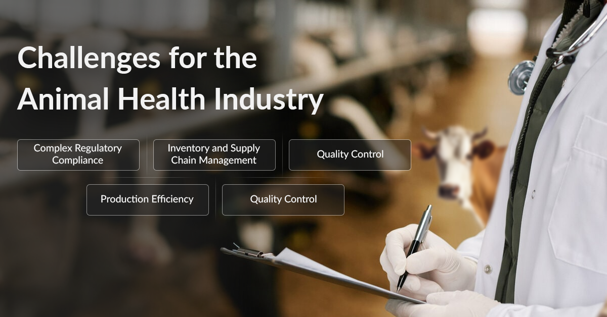 How Dynamic 365 Business Central Implementation Can Benefit Healthcare ...